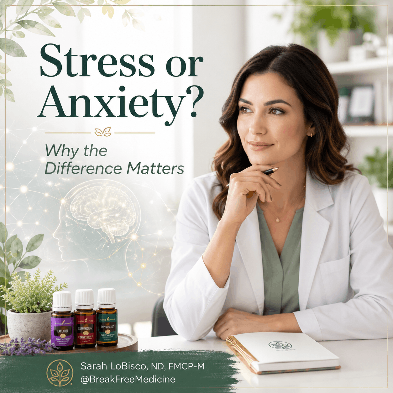 🌿 Stress or Anxiety? How Chronic Stress Can Shape the Brain and What ...